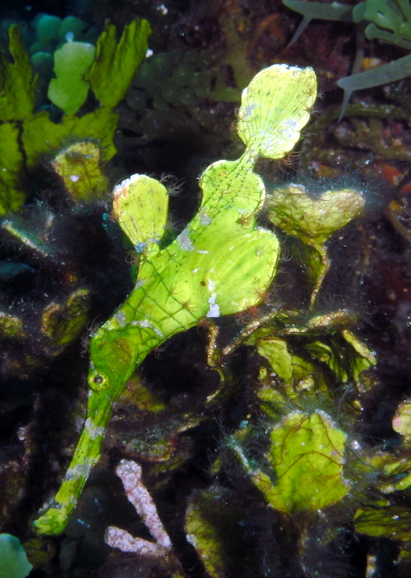 Photo Gallery - Tropical Adventures Travel